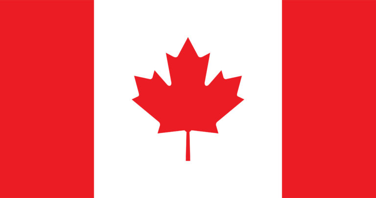 The Vertex Vision – Your Digital Partner in Success